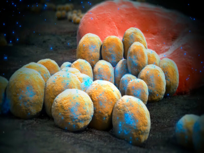 Octenidine Dihydrochloride, a Modern Antiseptic for Skin, Mucous ...